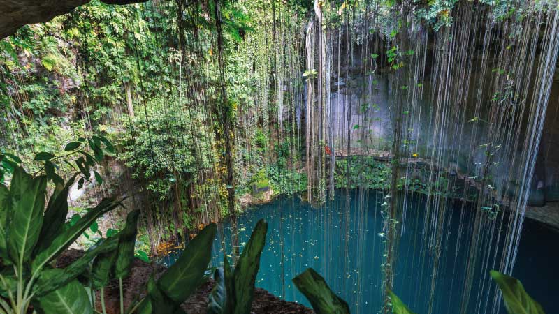 Horseback Riding Jungle & Cenote - Tulum Adventures