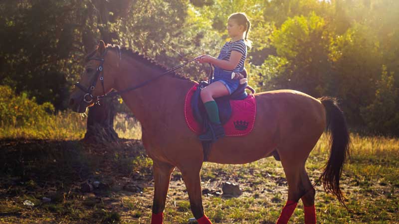 Horseback Riding Jungle & Cenote - Tulum Adventures