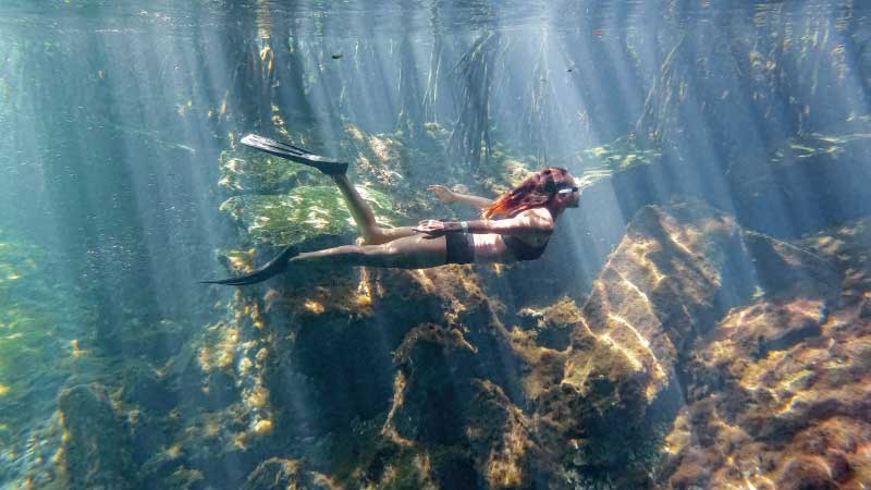 Horseback Riding Jungle & Cenote - Tulum Adventures