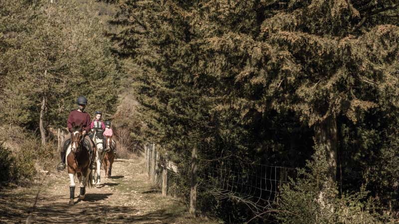 Horseback Riding Jungle & Cenote - Tulum Adventures